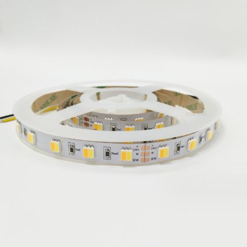 Quality LED Neon Strip Light & Neon Flexible Strip Light factory from China